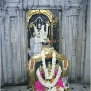वडापल्ली नरसिम्हा स्वामी मंदिर Vadapalli Narasimha Swamy Temple - SAASJ